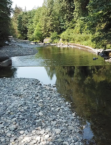 Tulalip Tribes Natural Resources || Programs – Restoration, Acquisition ...