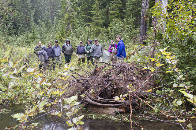 Tulalip Tribes Natural Resources || News